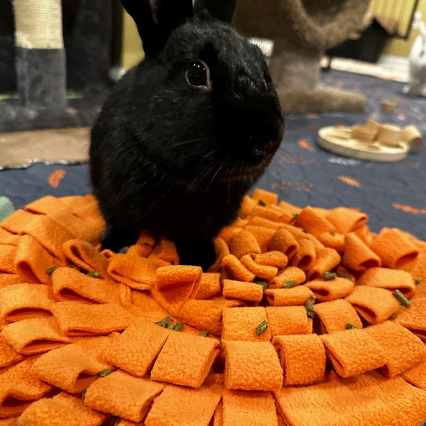 Pink Flower Snuffle Mat for Rabbits, Guinea Pigs, Dogs and Other Pets ...