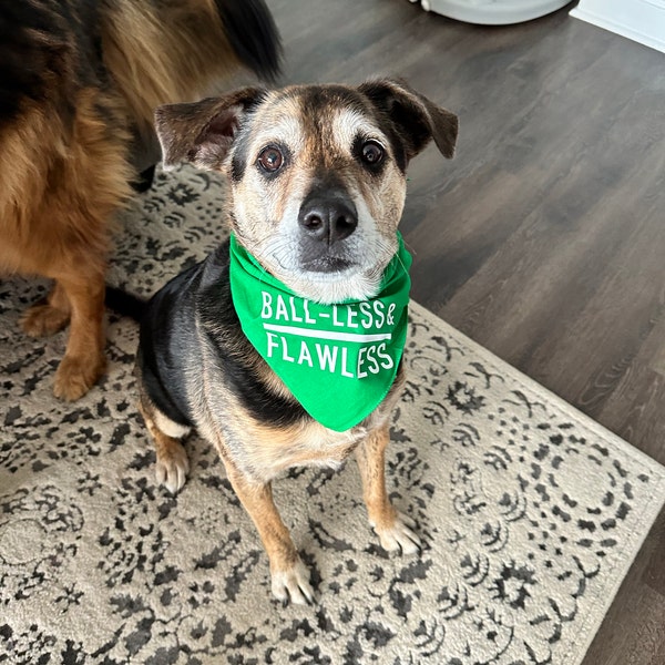 Ball-less & Flawless Dog Bandana, Funny Dog Bandana, Neuter Bandana ...