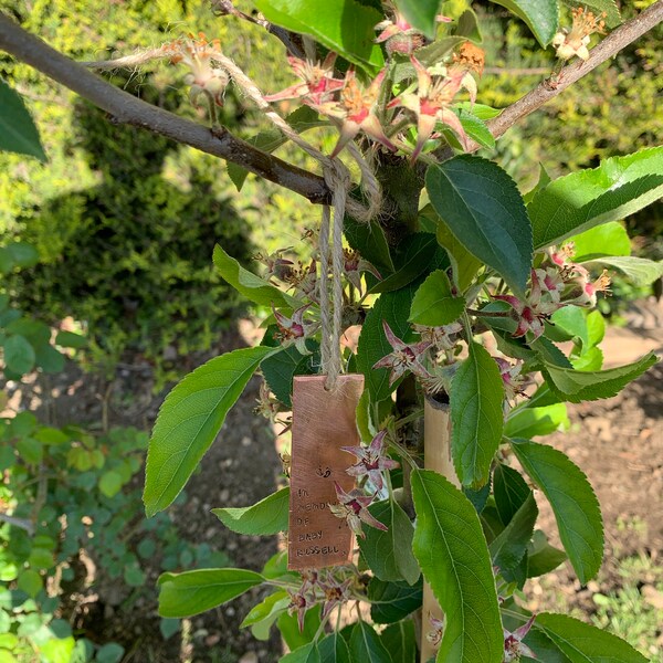 In Loving Memory Of...personalised Hand Stamped Tree Hanging Charm ...
