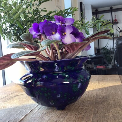 SMALL African Violet Planter - Etsy
