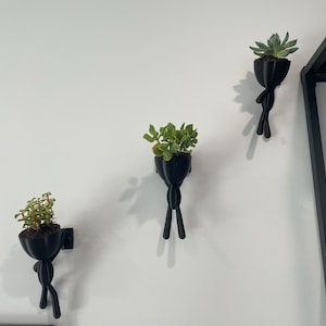 Adventurer Planter Trio Plant Buddy trio Plant Holder Unique Gift Home ...