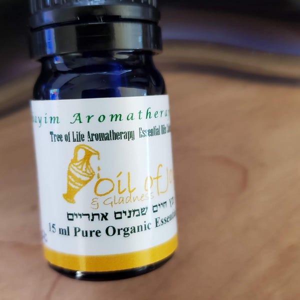 Foot Reflexology Chart Hebrew English Laminated 8 1/2x11in. Ideal for ...