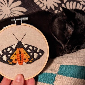 PDF Green Cicada Embroidery Pattern and Instructions Downloadable ...
