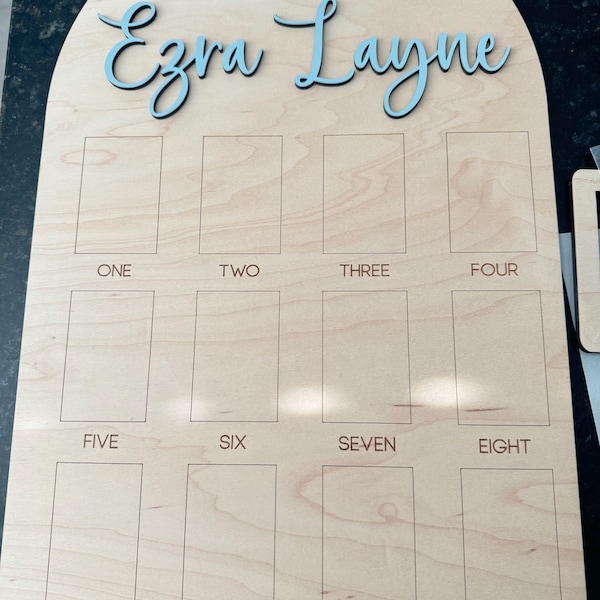 One Year of Photo Board, First Year Board, Baby's My First Year Sign ...