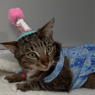 Cat Birthday Hat Pet Party Hat Puppy Birthday First Birthday Puppy First Birthday Birthday Party ...