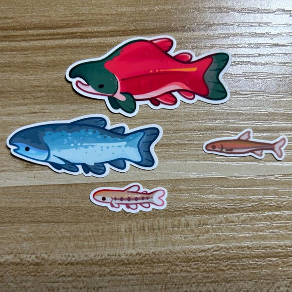 Salmon Stickers! Sockeye Fishy + More - Etsy