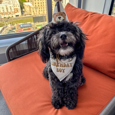 The Big ONE Shirt, Surfer Themed Party, Wave, First Birthday, Bday Boy ...