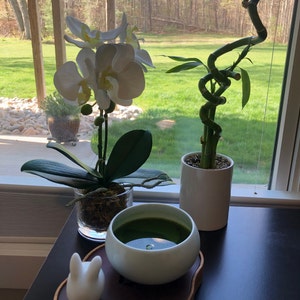 Handmade Tea Can 999 Silver Japanese Style Herbal Tea | Etsy