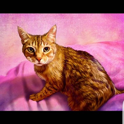 Cat Painting Custom Cat Art From Photos. Custom Cat Portrait. - Etsy