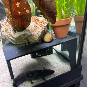 3D Printed Axolotl/aquarium Hide - Etsy