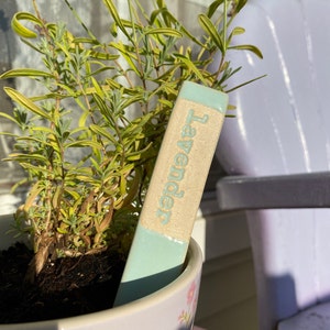 Herb Labels, Plant Labels, Set of 3 - Etsy