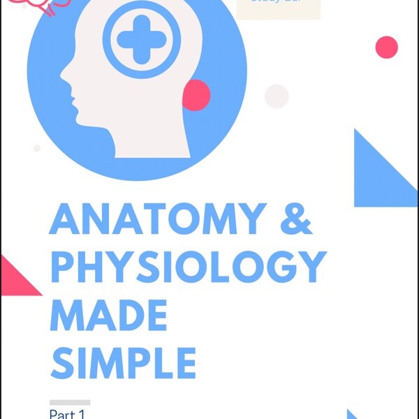 Bundle Anatomy & Physiology Part 2 Study Kit With Practice Questions ...