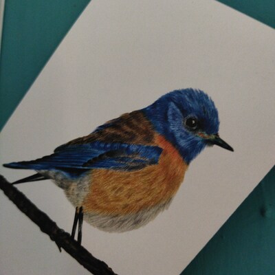 Pastel De Nata Sticker Pack 3 Sizes Pastry Realistic Illustration Egg ...