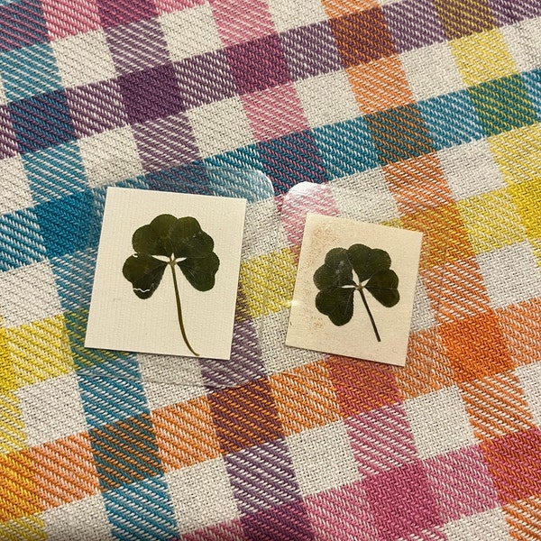 Lucky Charm Keychain Real Four Leaf Clover Genuine Shamrock Pressed ...