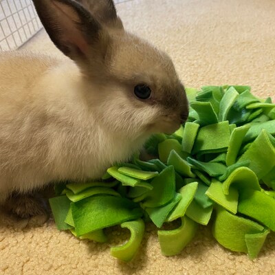 Bunny Rabbit Snuffle Mat Foraging Blanket Stimulation Treat - Etsy
