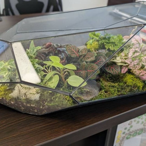 Waterproof 18 Inches Geometric Terrarium Galaxius - Stunning Parametric ...