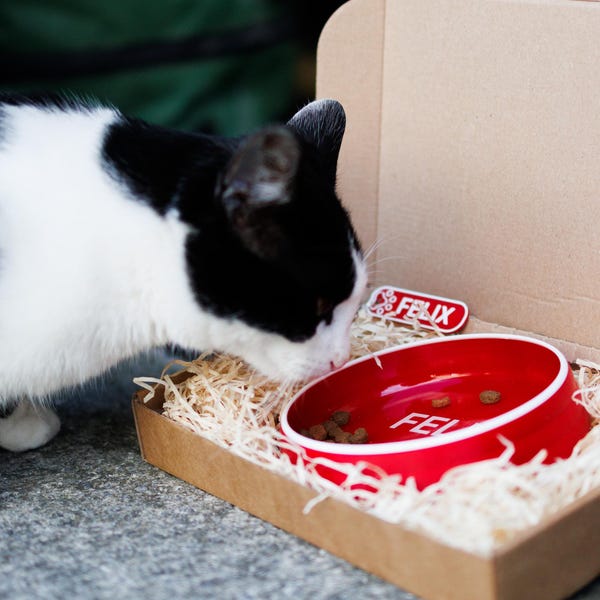 Personalized Dog and Cat Bowl Set - Custom Slow Feeder and Water Bowl ...