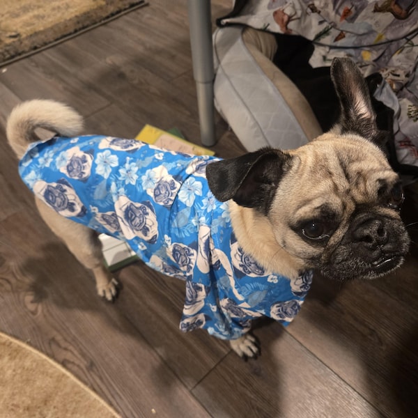 Blue Pug Pet Aloha Shirt, Match the Entire Family, Dog and Cat Hawaiian ...