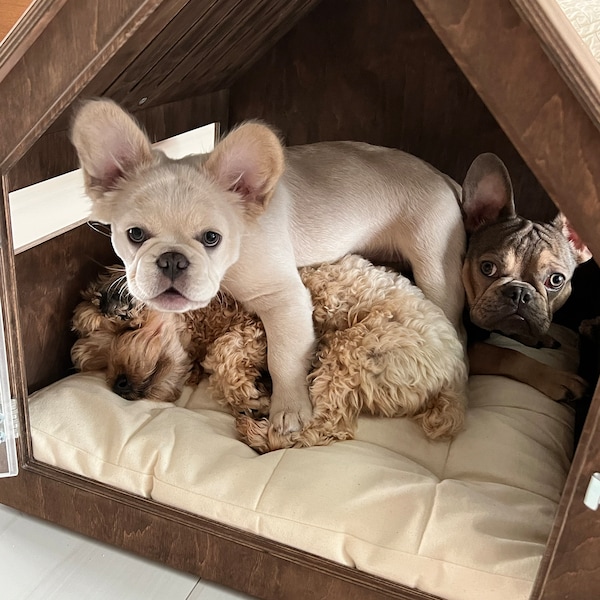 Modern Dog and Cat House With Acrylic Door Petso Stained Wood. Dog ...