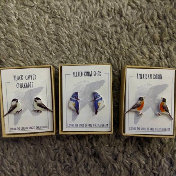 American Woodcock Art Print, Bird Art, Bird Art Print, Birding ...