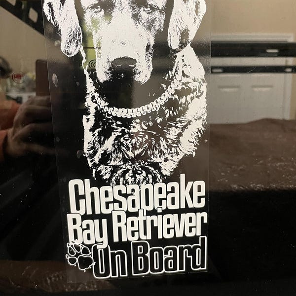 WARNING! Belgian Malinois Lives Here - Window Sticker - Security K9 Dog ...