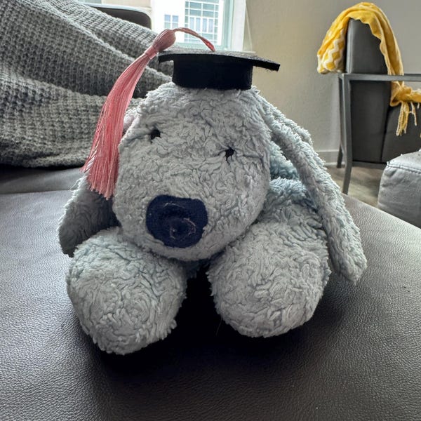 Mini-sized Graduation Cap Cat Hat for Your Cat FREE SHIPPING! Add-on ...