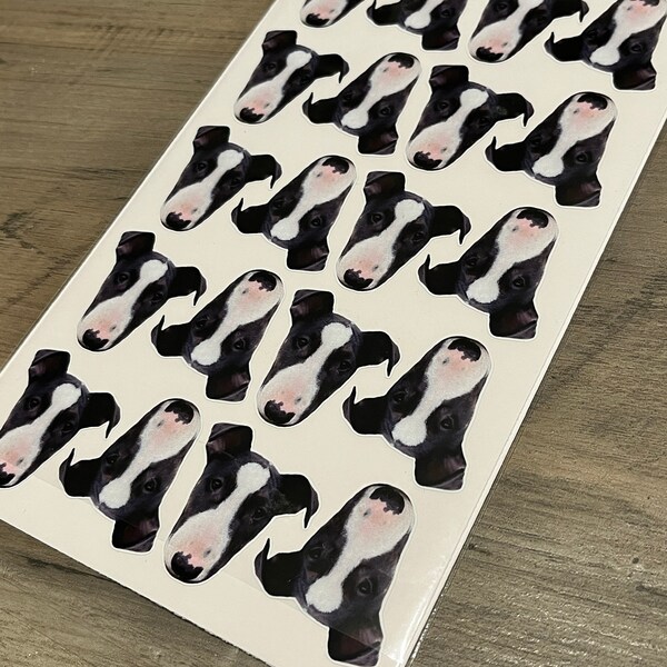 Personalised Custom Vinyl Face Stickers, Makes A Unique Personalised ...