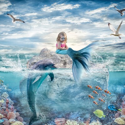 Mermaid Digital Background Dolphin Backdrop Whimsical Children's ...