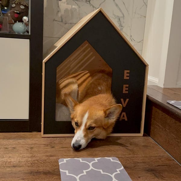 Personalized Dog Crate, Puppy House With Door, Custom Pet Furniture ...