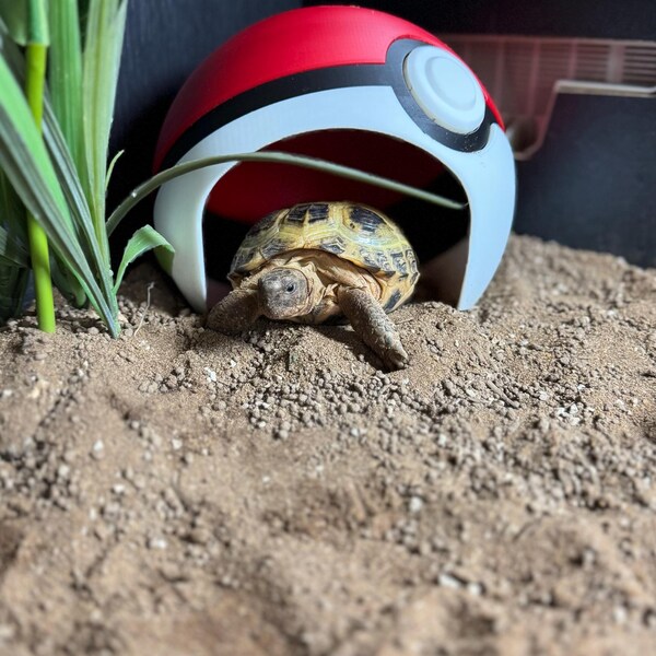 TORTOISE Log Cabin Reptile Hide, Whimsical Vivarium Accessory for Pet ...