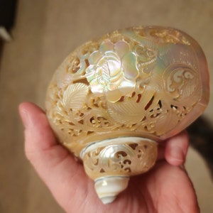 Hand Carved Pearl Mussels Shell Large Sizewith - Etsy