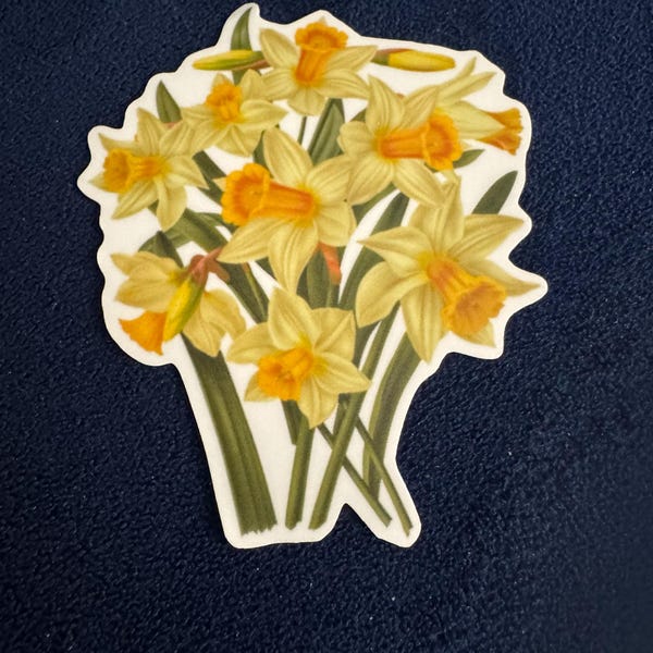 Adorable Bumblebee With Flower Sticker, Journal Sticker, Bug Decal ...