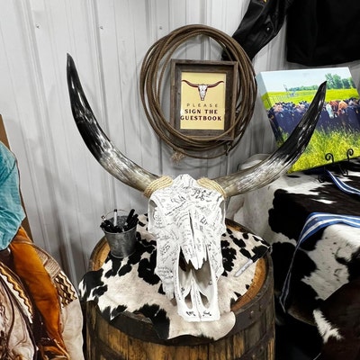 Steer Skull ART Western Decor Polished Long Horns Mounted 4' 9 Cow Bull ...