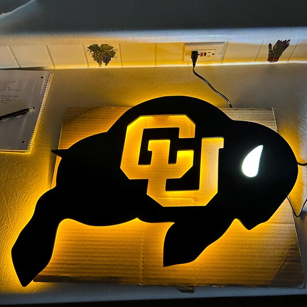 Custom Steelers LED Lighted Wall Sign, Neon, Night Light,football - Etsy