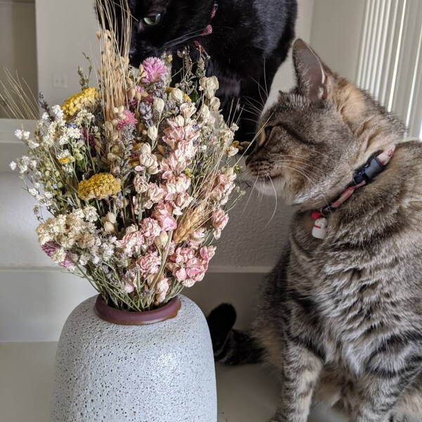 DIY Dried Floral Topiary Kit | You Create | Dried Florals and Herbs ...