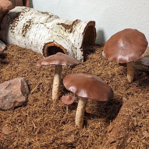 Mushroom Terrarium Psychedelic Shrooms, Plant Decor Brown Tiny ...