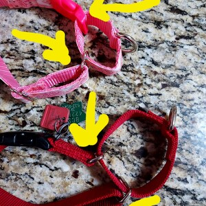 Fable Floral Purple Dog Collar Martingale Dog Collar Clip - Etsy