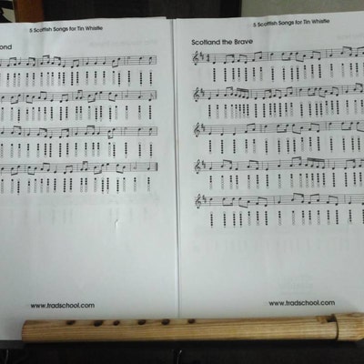 Zither Citera Hungarian Dulcimer in C Stringed Folk Instrument 15 ...