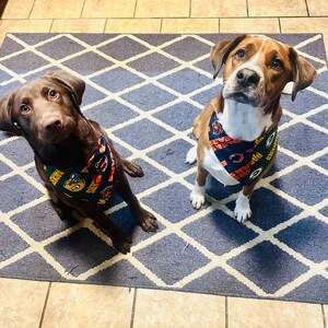 Small 9x12 Snuffle Mat Rooting Rug Canine Pet Dog Pig Rabbit - Etsy