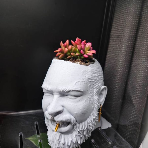 Schedule 1 Benji Head Stash Box - Etsy