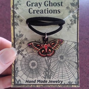 Velvet Spider Sticker 3.5 Inch Glossy Sticker Ladybird Spider Insect ...