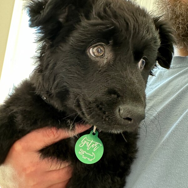 QR Code Id Dog Tag, Scannable Id Tag, QR CODE Pet Tag, Engraved Dog ...