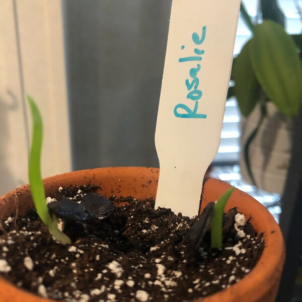 Vogue 1627: Designer Caftan Pattern, Sizes X-small, Small, and Medium ...