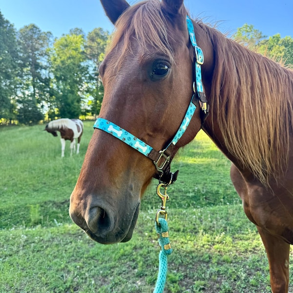 Custom Horse Halter Handmade USA by Halter All, Southwestern Western ...
