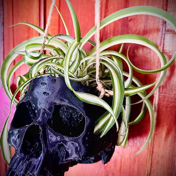 18 Phoenix Fire Pyro Dragon Articulating Flexi by Cinderwing Fidget Toy ...