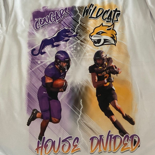 House Divided Team Spirit Shirt, Customized Team Mascots, Falcons ...
