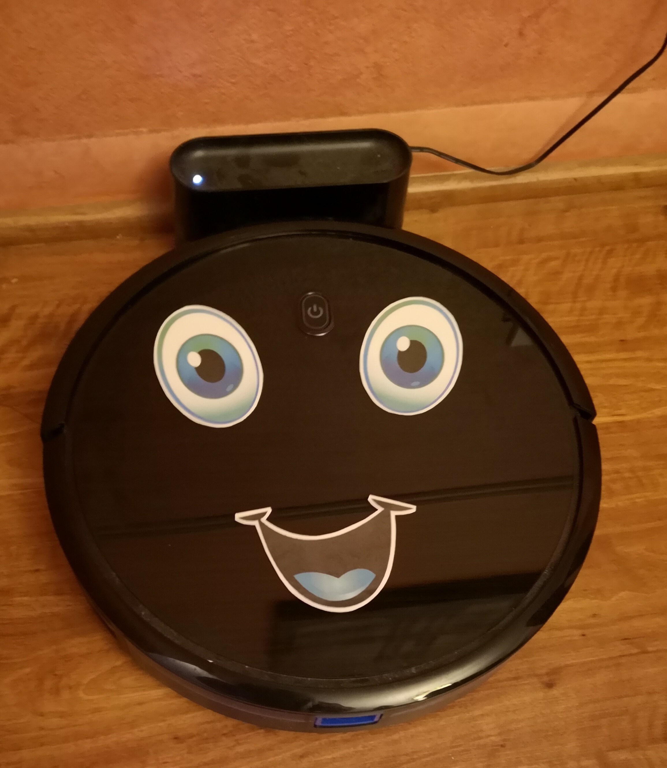 Decal sticker for robot vacuum cleaner, laptop