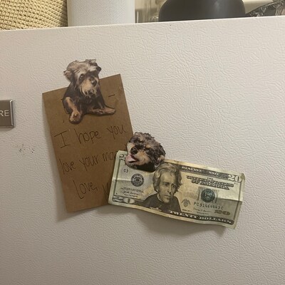 Personalized Baby Magnet Baby Refrigerator Magnet Waterproof - Etsy