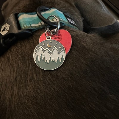 Custom Dog Tag in Gold, Silver, Rose Gold or Black, Engraved Stainless ...