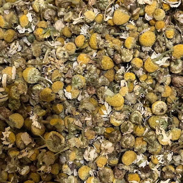 Dried Milk Thistle Leaves 85g3 Oz 1,95kg68.8 Oz Silybum Marianum - Etsy